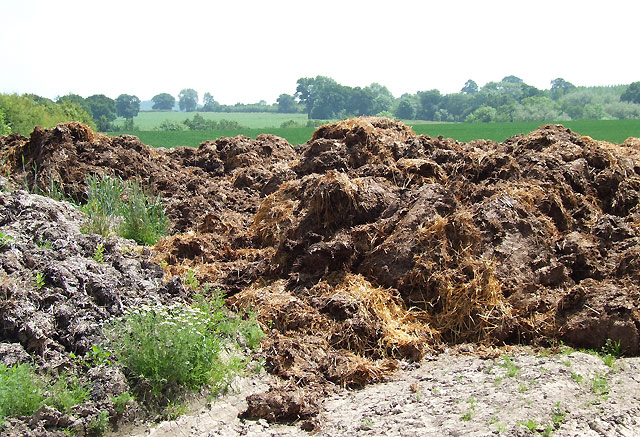 Blog - The Barnyard Supply Co