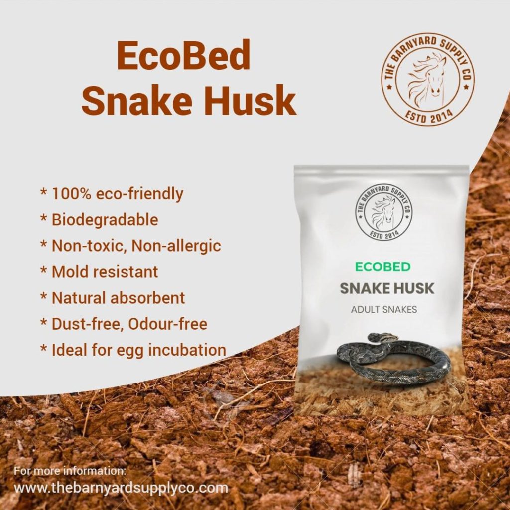 A Guide on Pet Snake Caring – Rattlesnake - The Barnyard Supply Co