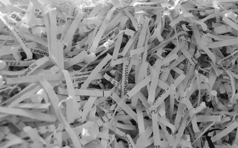 Choosing Best Bedding For Your Horse - The Barnyard Supply Co