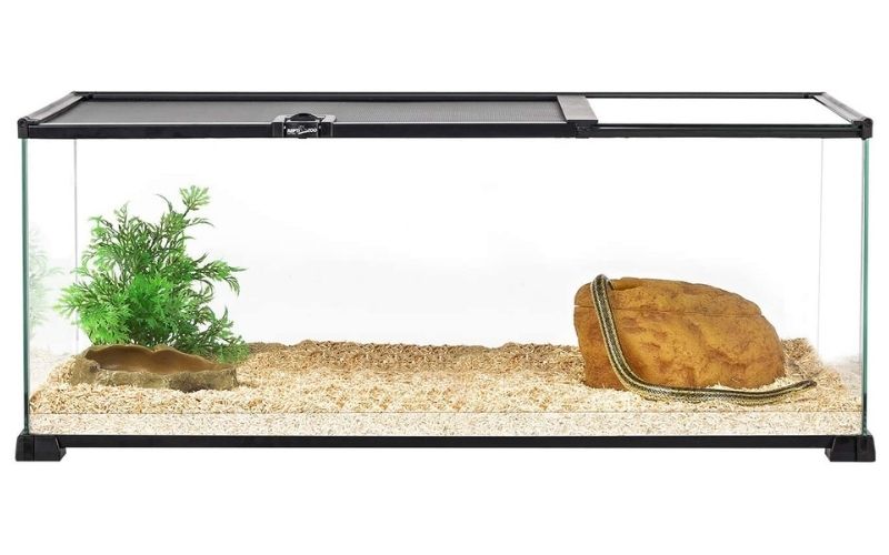 Housing For Your Pet Snake - The Barnyard Supply Co