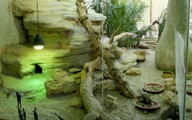 Housing For Pet Reptile - The Barnyard Supply Co