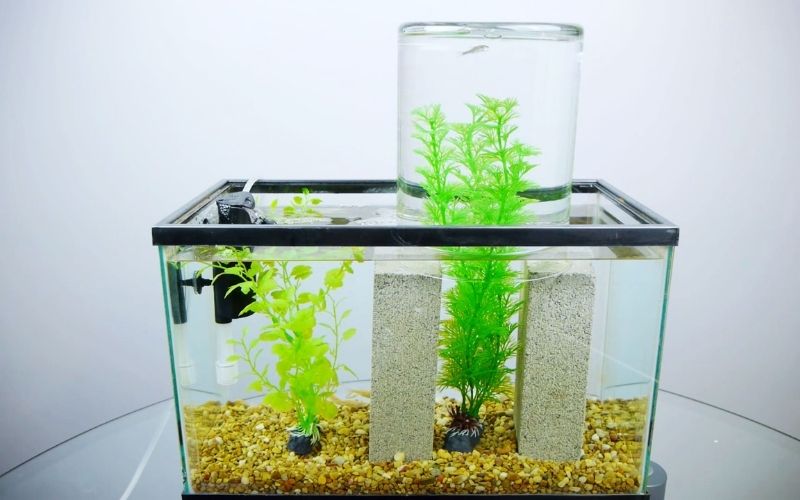 Housing For Your Pet Snake - The Barnyard Supply Co